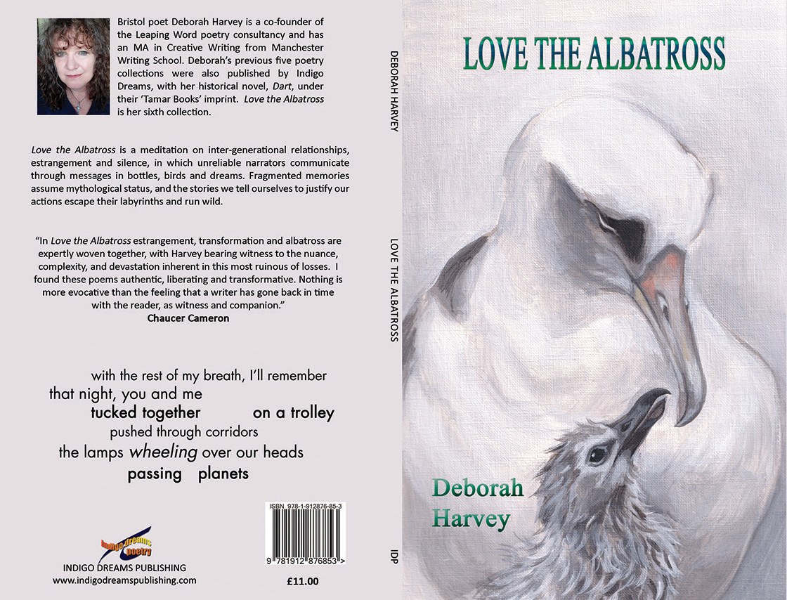 ‘Love the Albatross’ available to pre-order – The Leaping Word